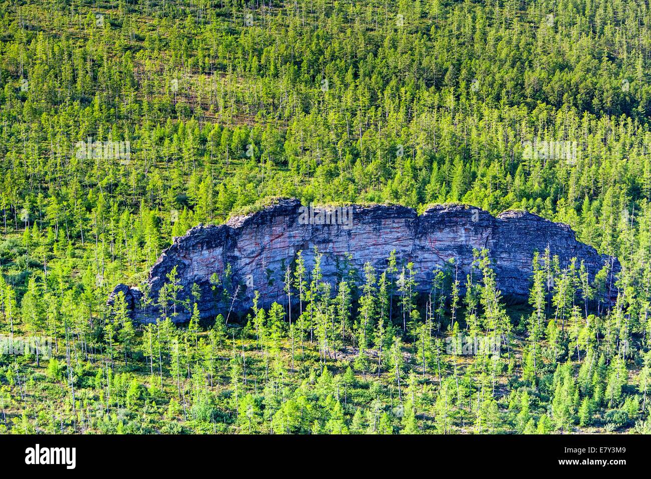 Russia, Zabaykalsky Krai, Mogochinsky District. Rocks in the forest ...