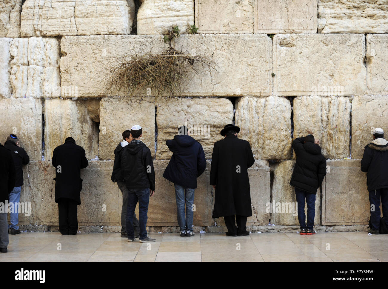 Judaism. Jews praying at the Western Wall. Jerusalem. Israel Stock ...