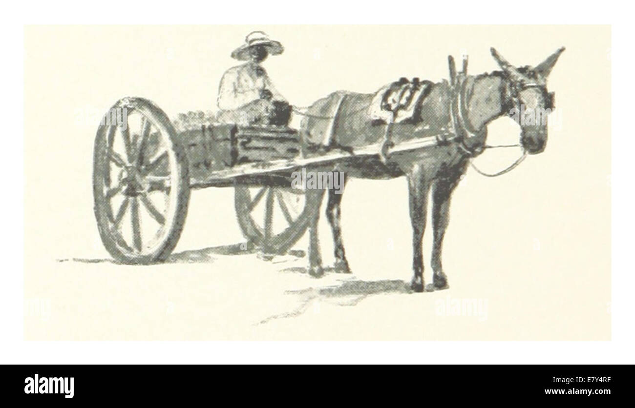 (Florida, 1889) p070 St. Augustine - Donkey-cart Stock Photo - Alamy