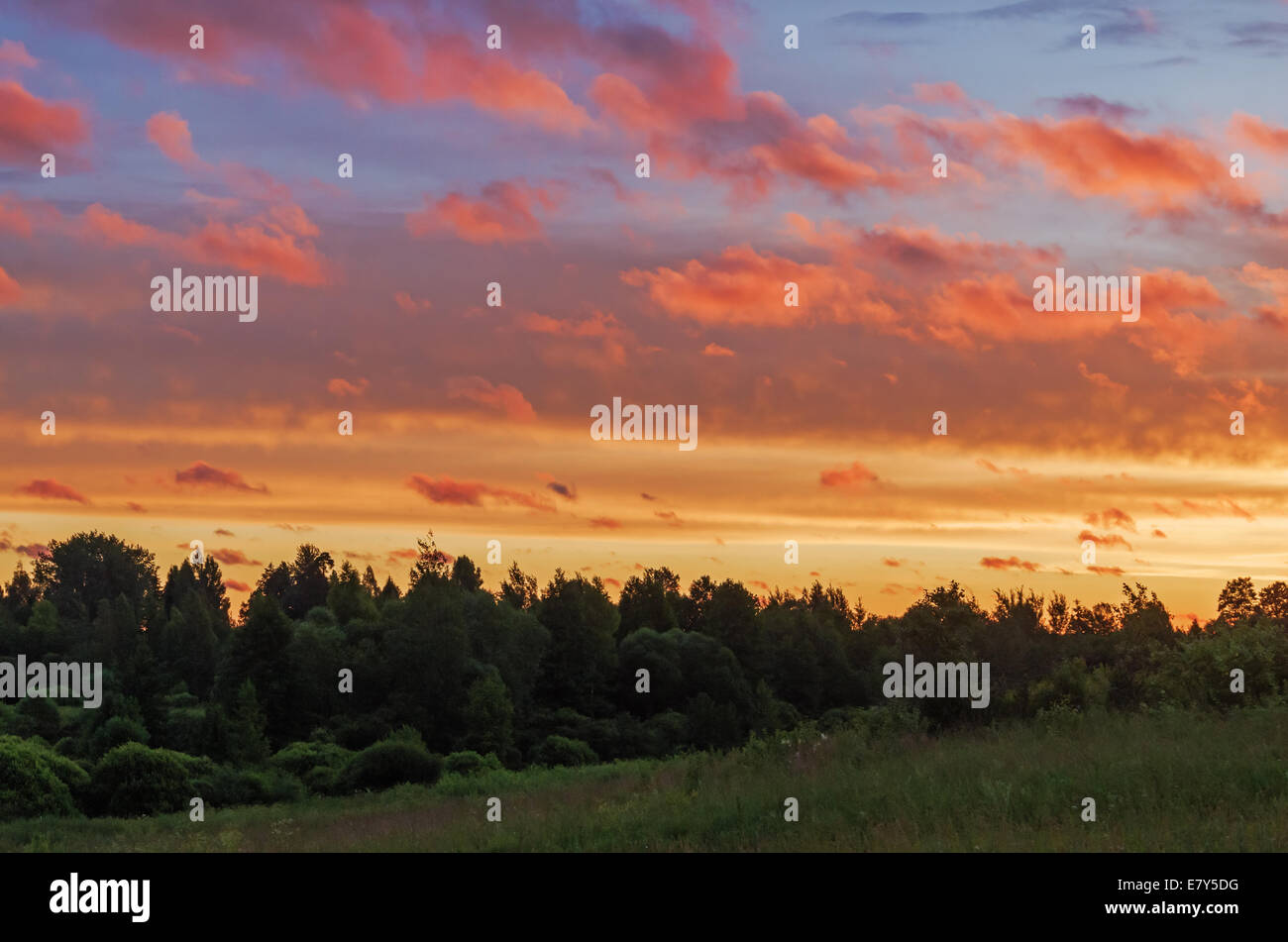 Sunrise over a meadow Stock Photo - Alamy