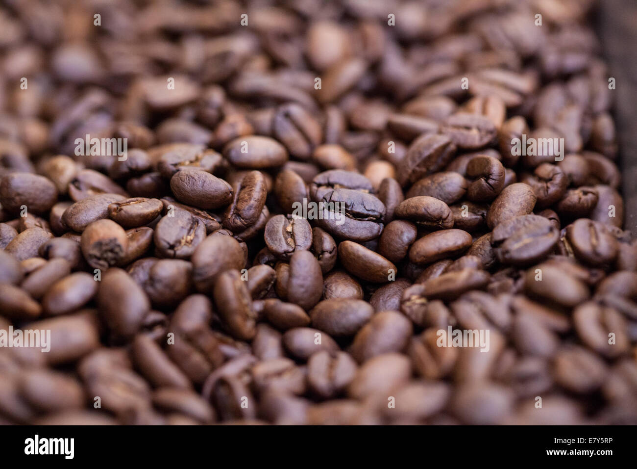 Real coffee beans hi-res stock photography and images - Alamy