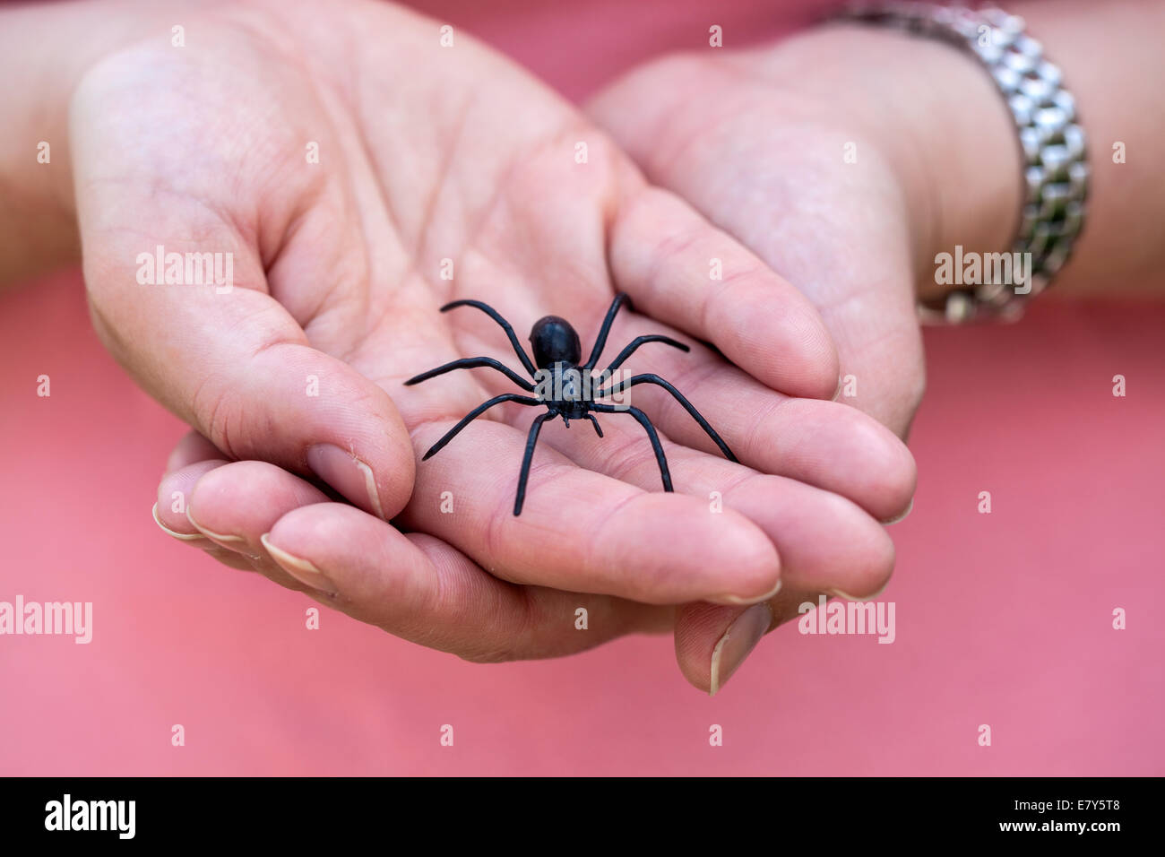 Lady holding a spider in her hands Stock Photo - Alamy
