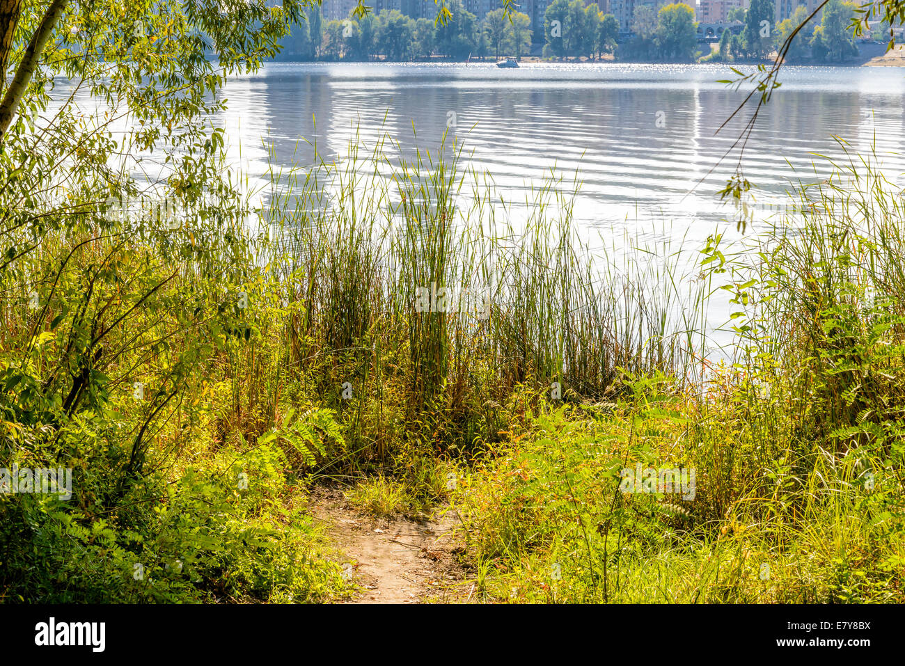 Path close to the river hi-res stock photography and images - Alamy