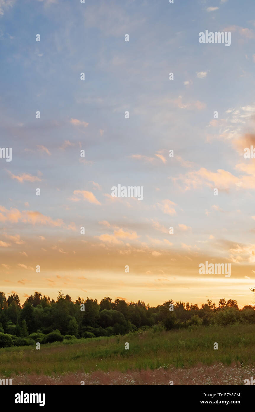 Sunrise over a meadow Stock Photo - Alamy