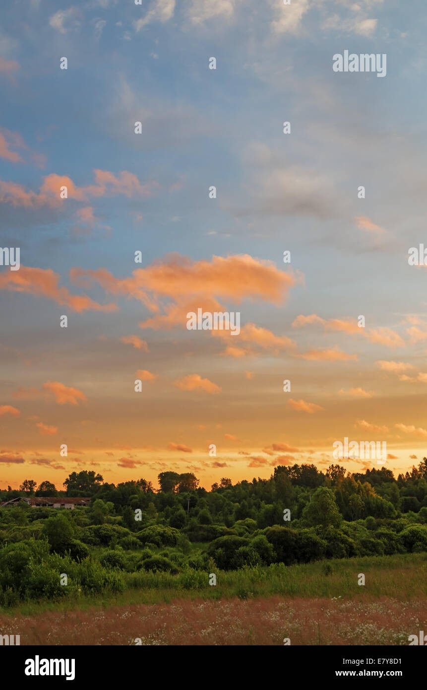 Sunrise over a meadow Stock Photo - Alamy