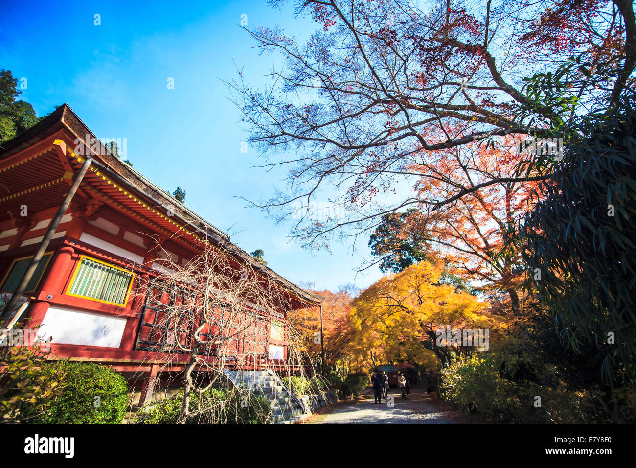 Kyoto, Japan - Nov 27, 2013: Tanzan Shrine also known as the Danzan ...