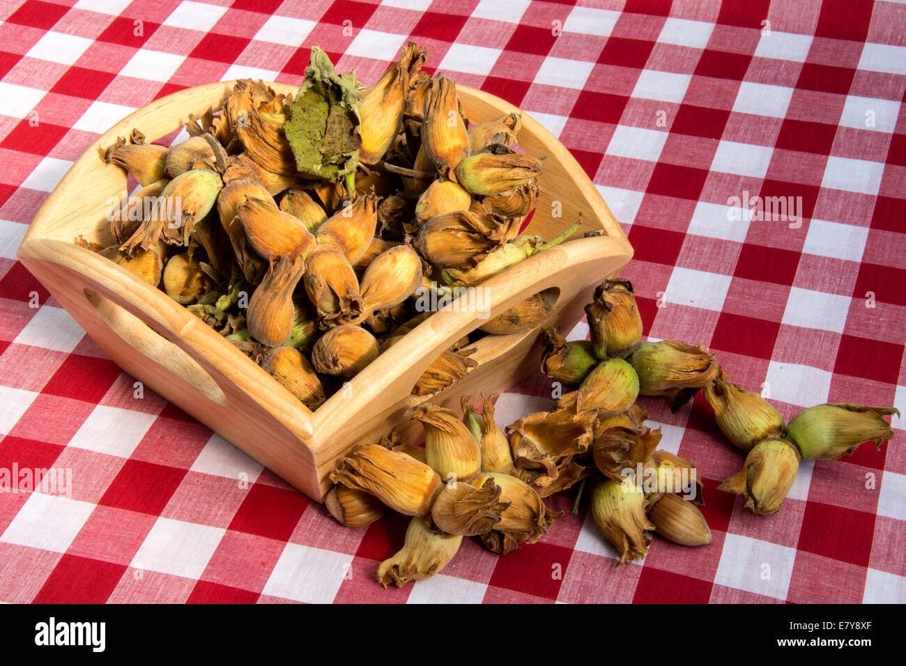 Kent cobnuts hi-res stock photography and images - Alamy