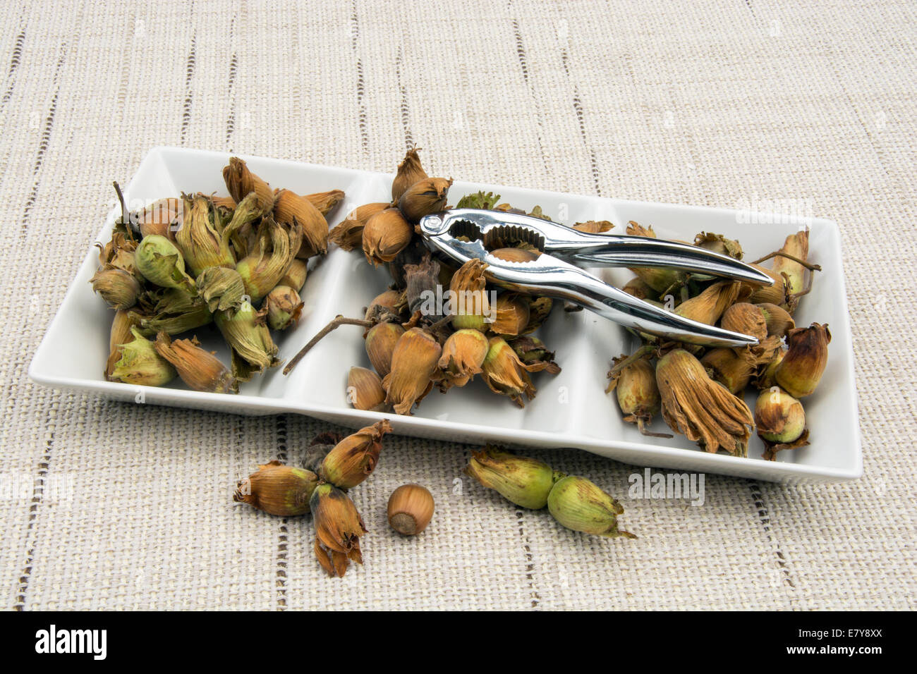 A dish of cobnuts Stock Photo - Alamy