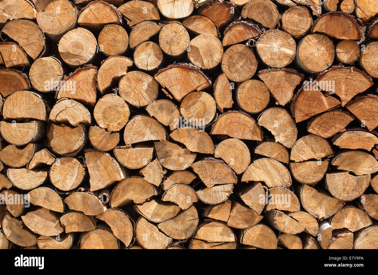 Stacked logs of spruce Stock Photo - Alamy