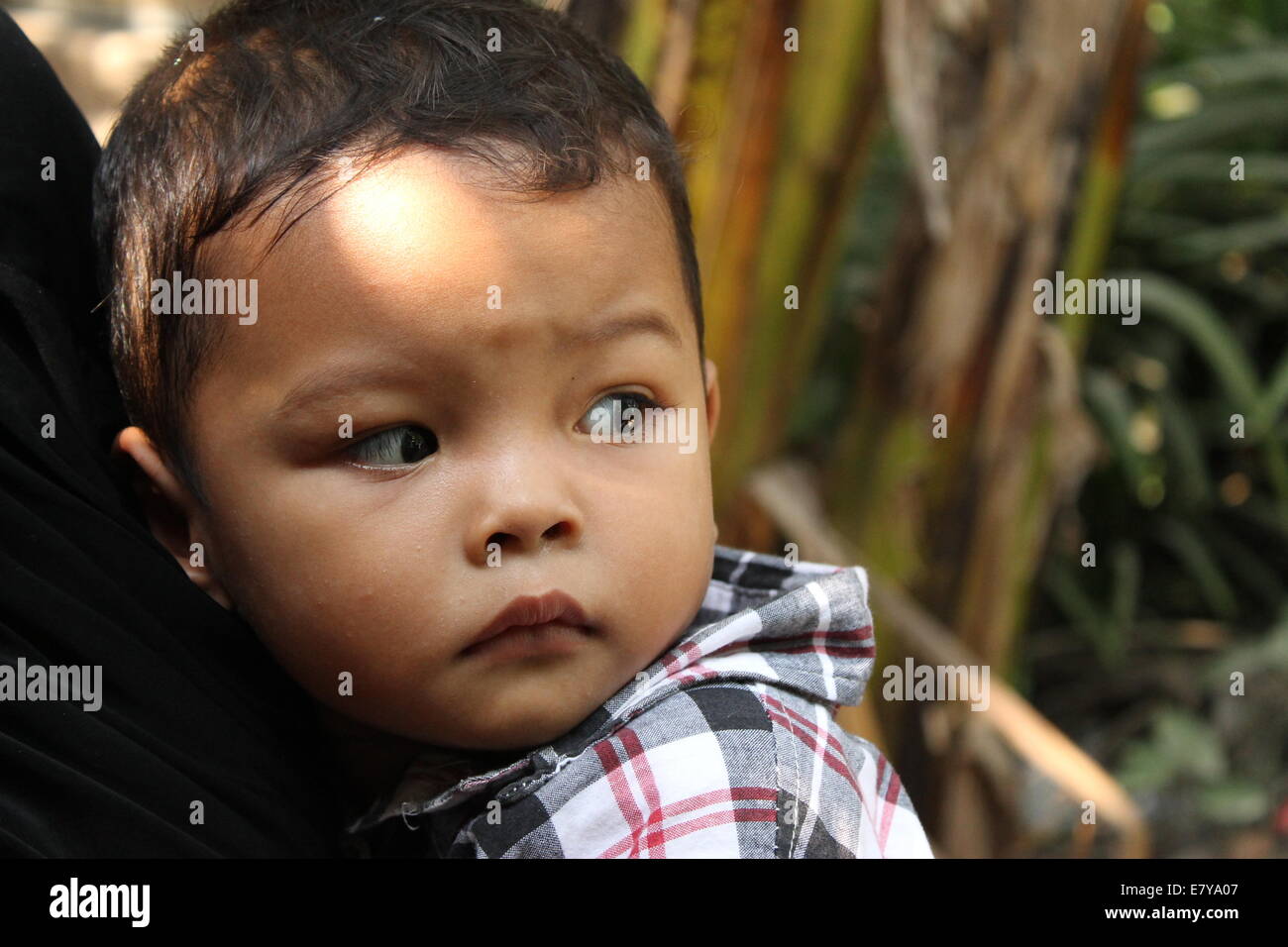 the eyes of children. children point of view. children who curious ...