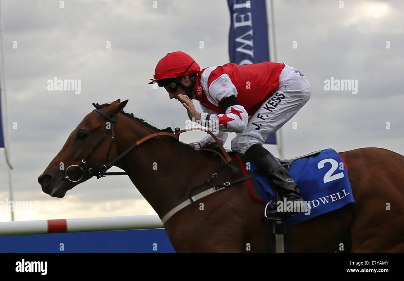British champions day horse hi-res stock photography and images - Alamy