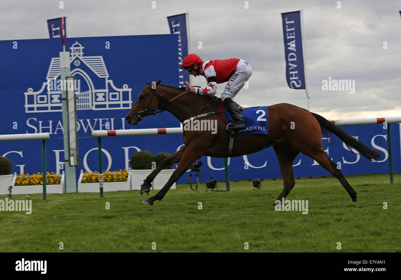 Newmarket, UK. 26th Sep, 2014. Newmarket Shadwell Day. Custom Cut under ...