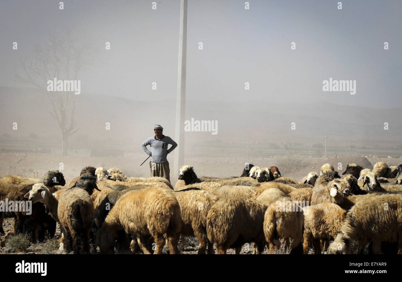 Fars Province, Iran. 25th Sep, 2014. An Iranian shepherd herds his ...