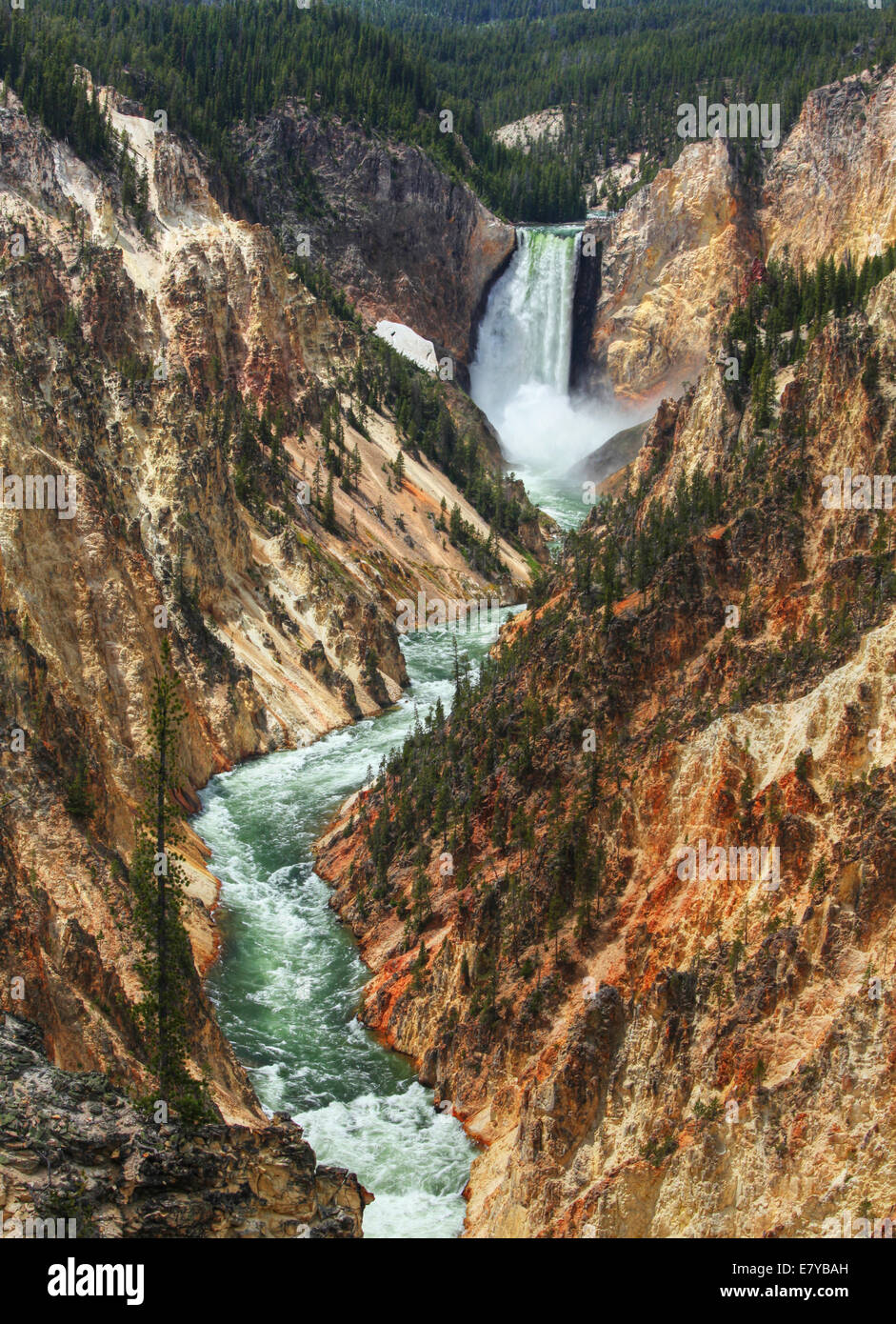 Yellowstone yellowstone national park hi-res stock photography and ...
