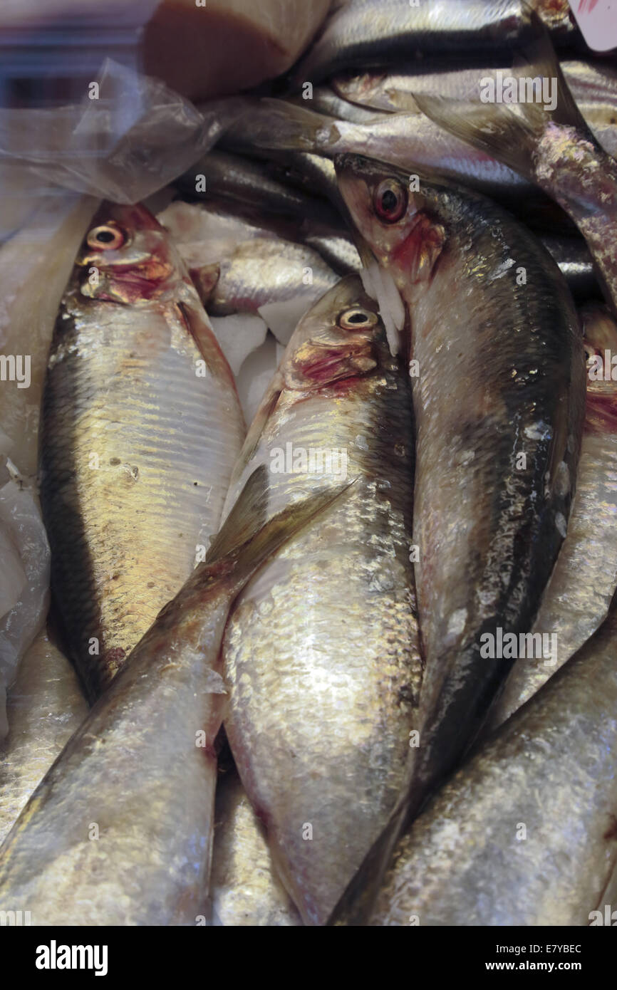 Fish on sale at a fishmonger Stock Photo - Alamy