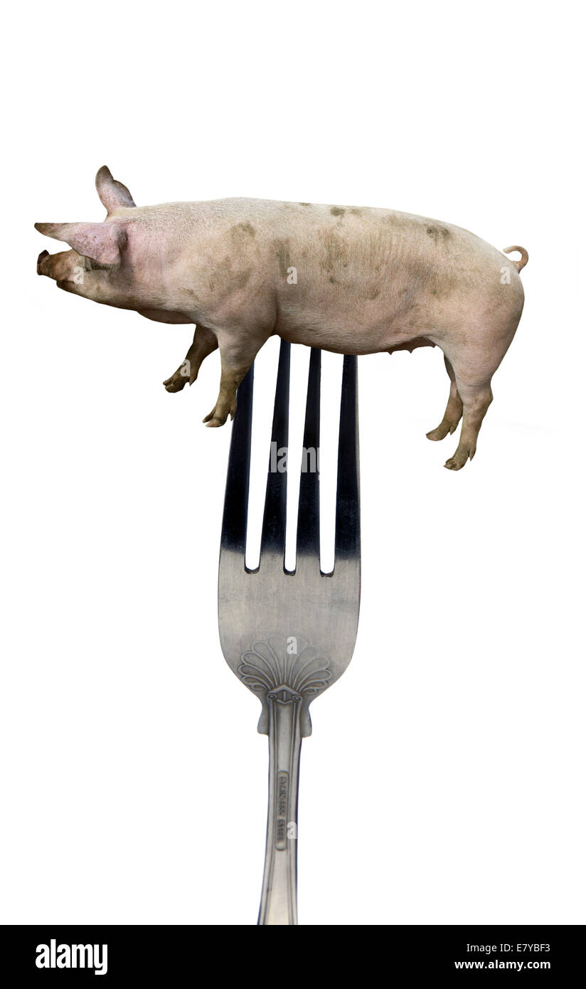 Consumption hi-res stock photography and images - Alamy