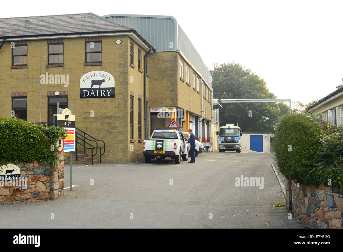 Guernsey Dairy, Guernsey, Channel Islands, GB Stock Photo - Alamy