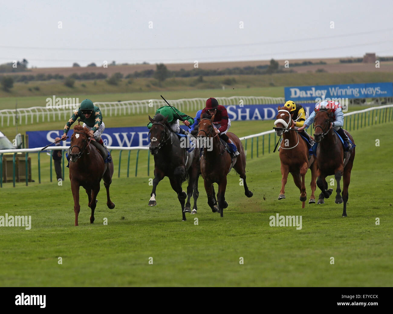 William buick newmarket racecourse hi-res stock photography and images ...