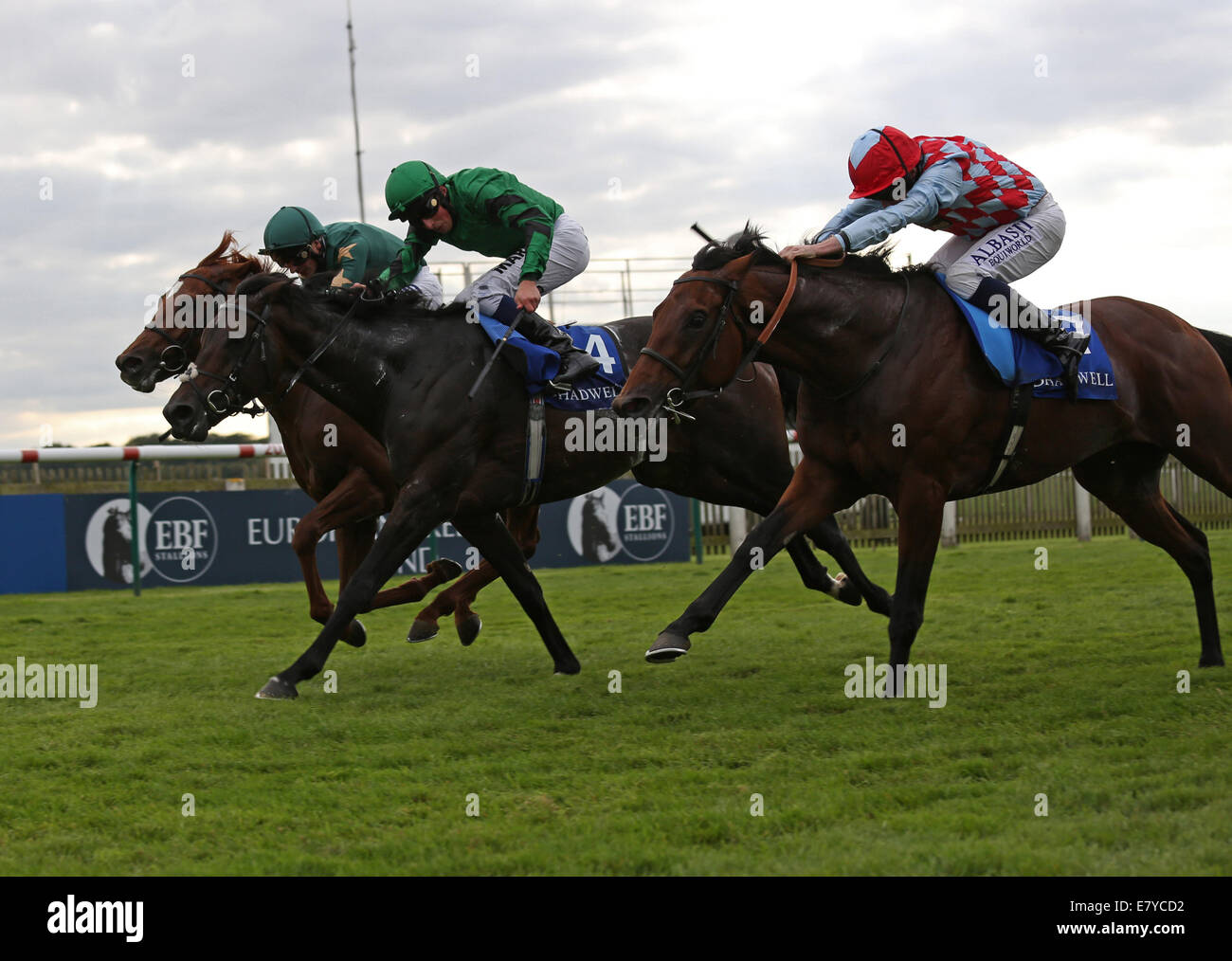 William buick newmarket racecourse hi-res stock photography and images ...