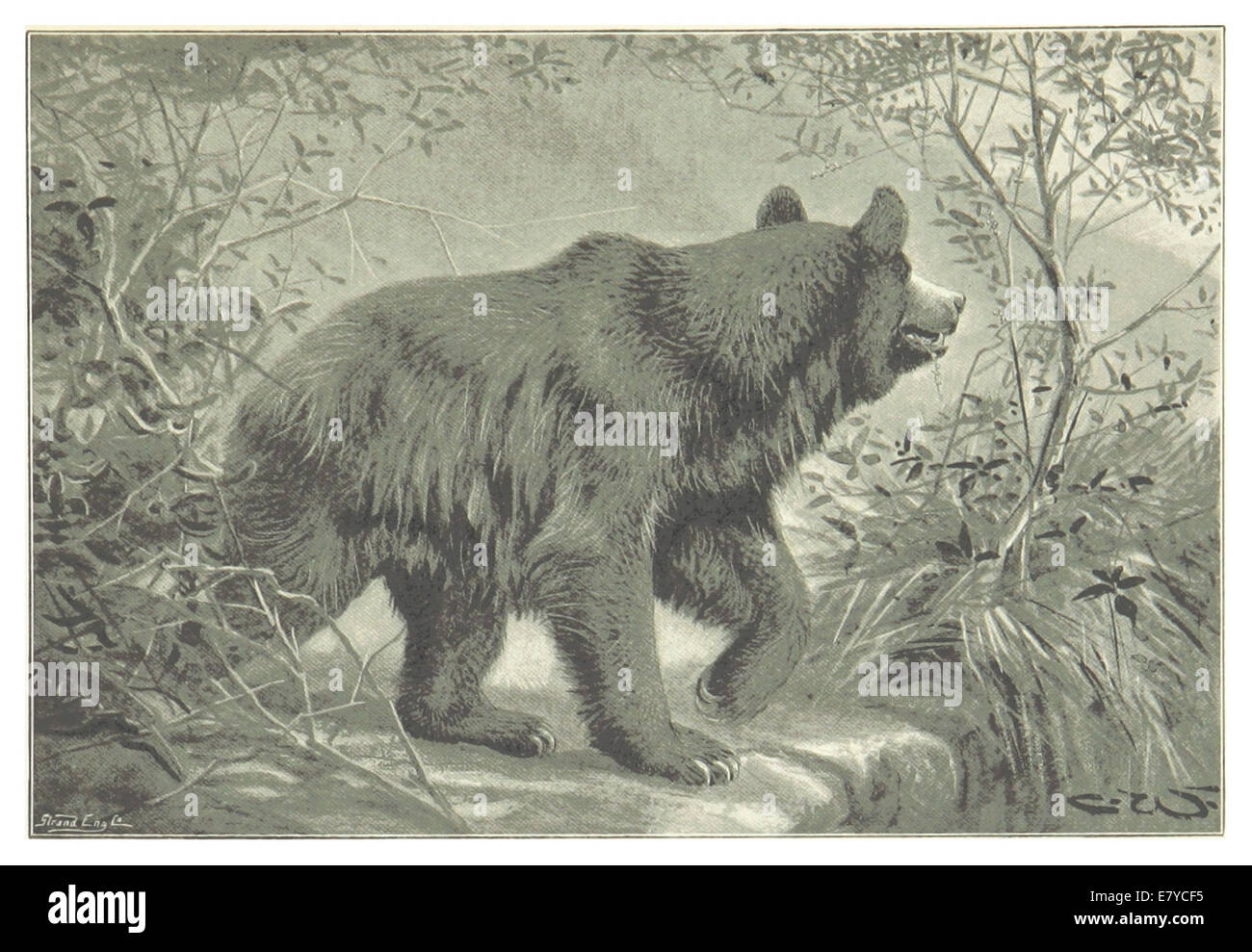 Given dramatic Cut Out Stock Images & Pictures - Alamy