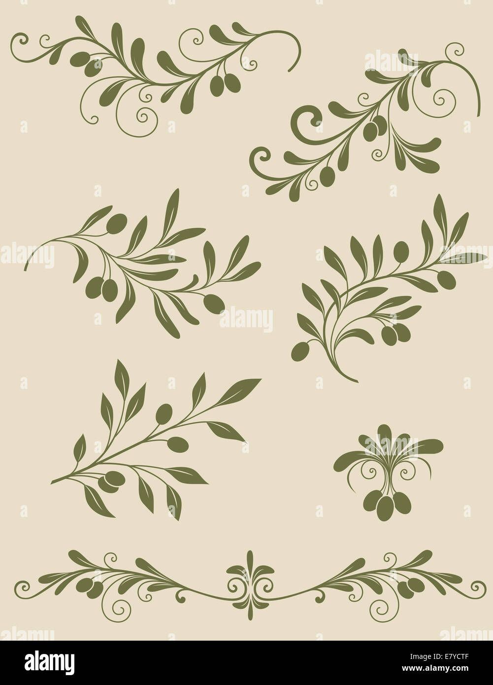 Vintage olive branch fruit hi-res stock photography and images - Alamy