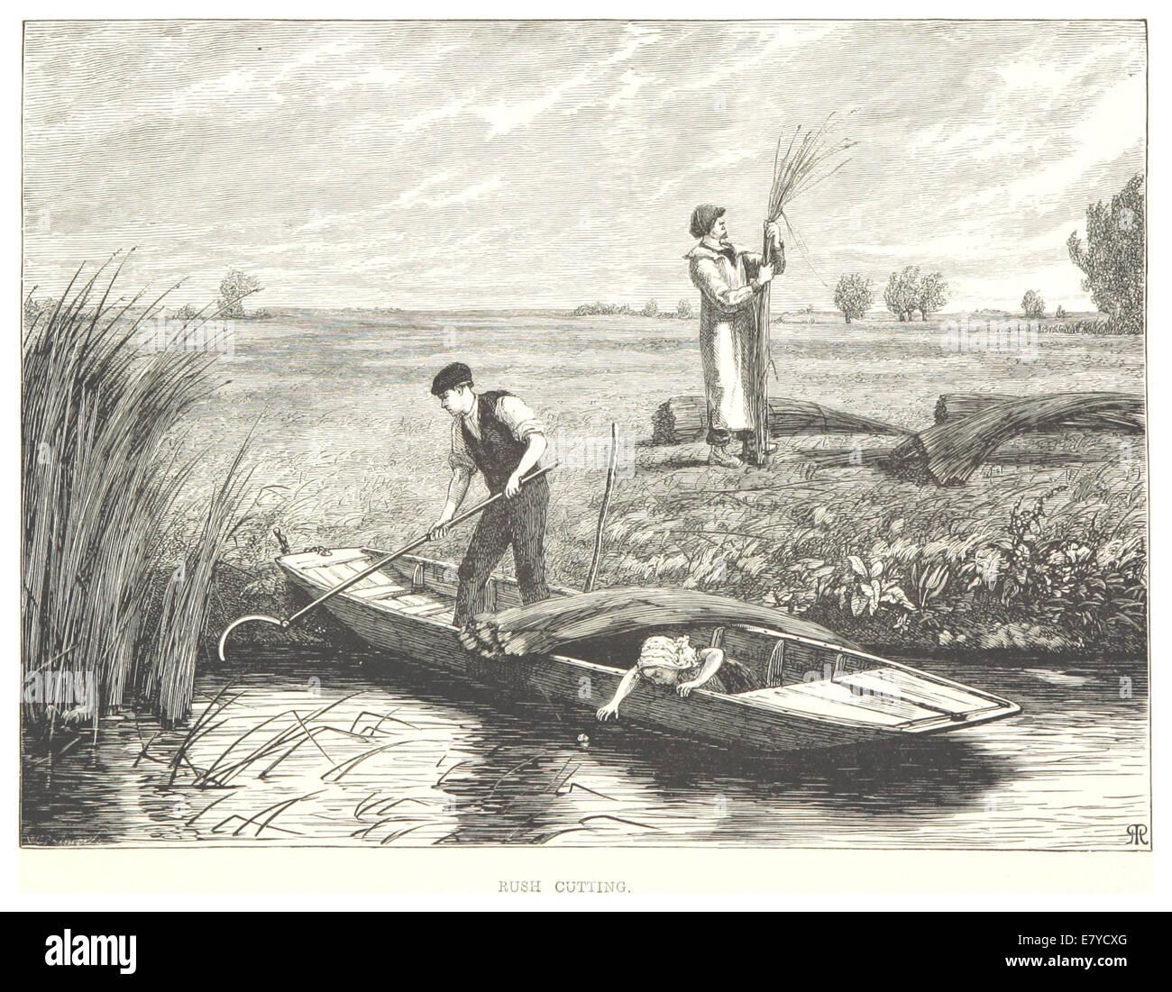 This illustration from 1875 depicts Rush Cutting, a scene or event from ...