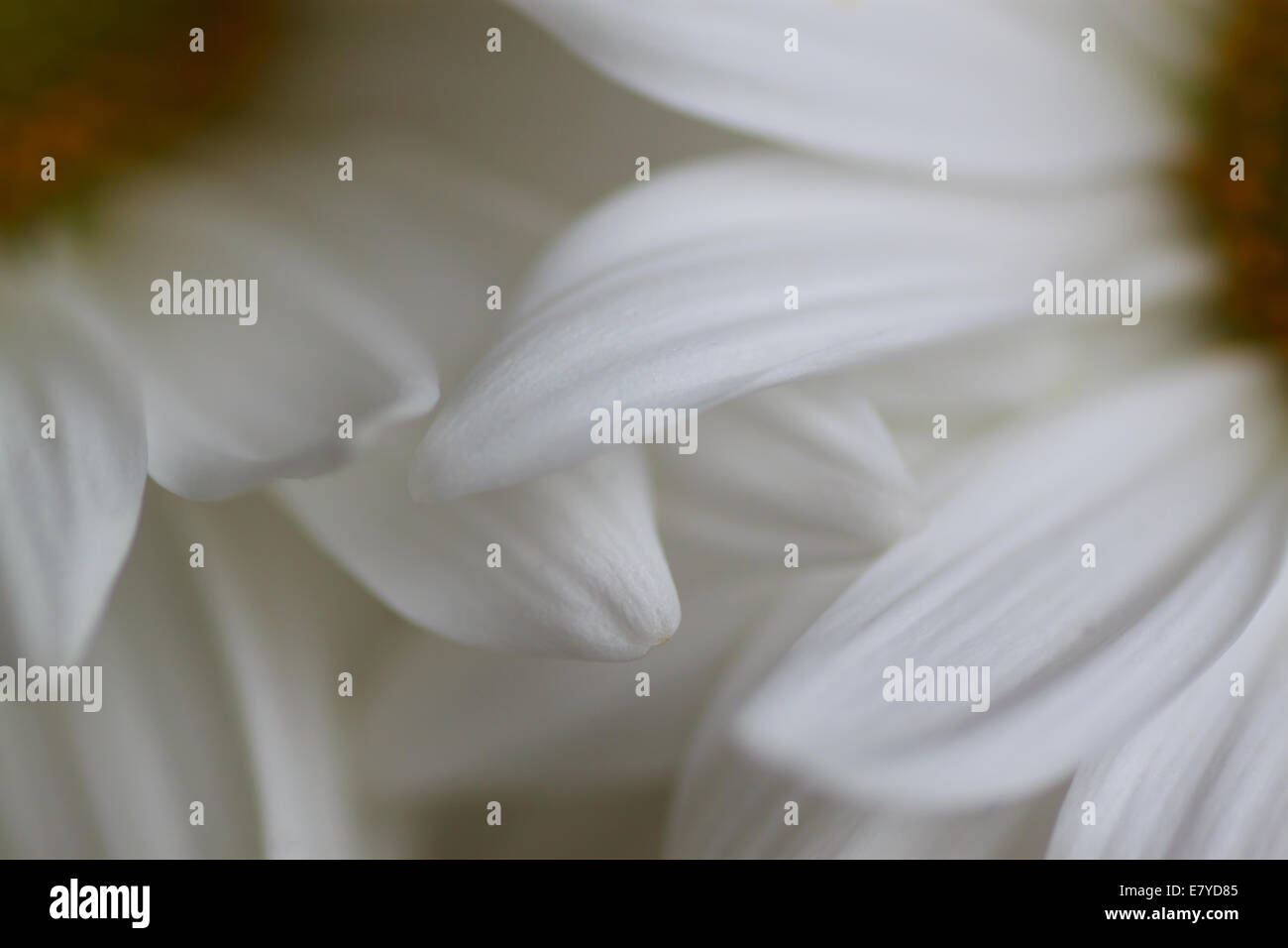 Intimate touching hi-res stock photography and images - Alamy