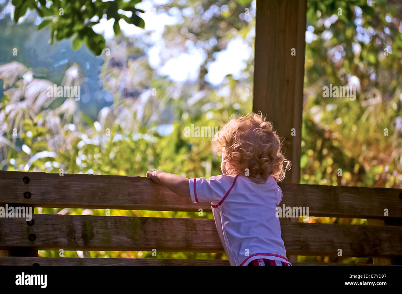 young child standing on a bench facing the sun looking out over the ...