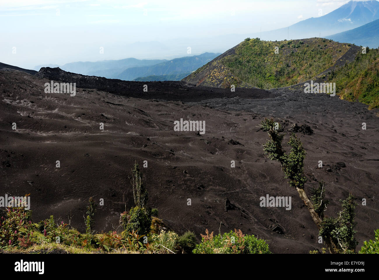 Lava Flow and the Volcano Stock Photo - Alamy