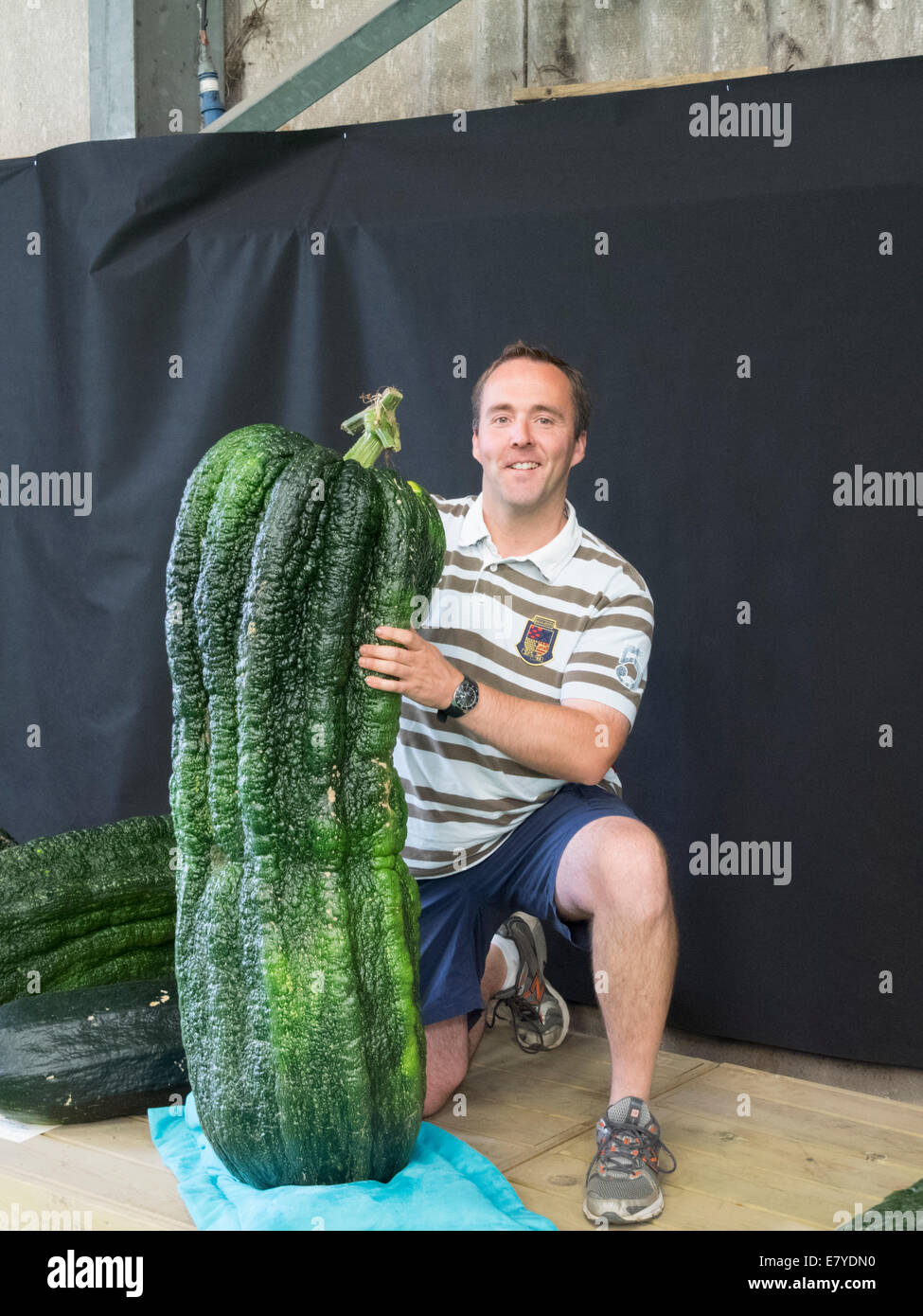 Giant marrow hi-res stock photography and images - Alamy
