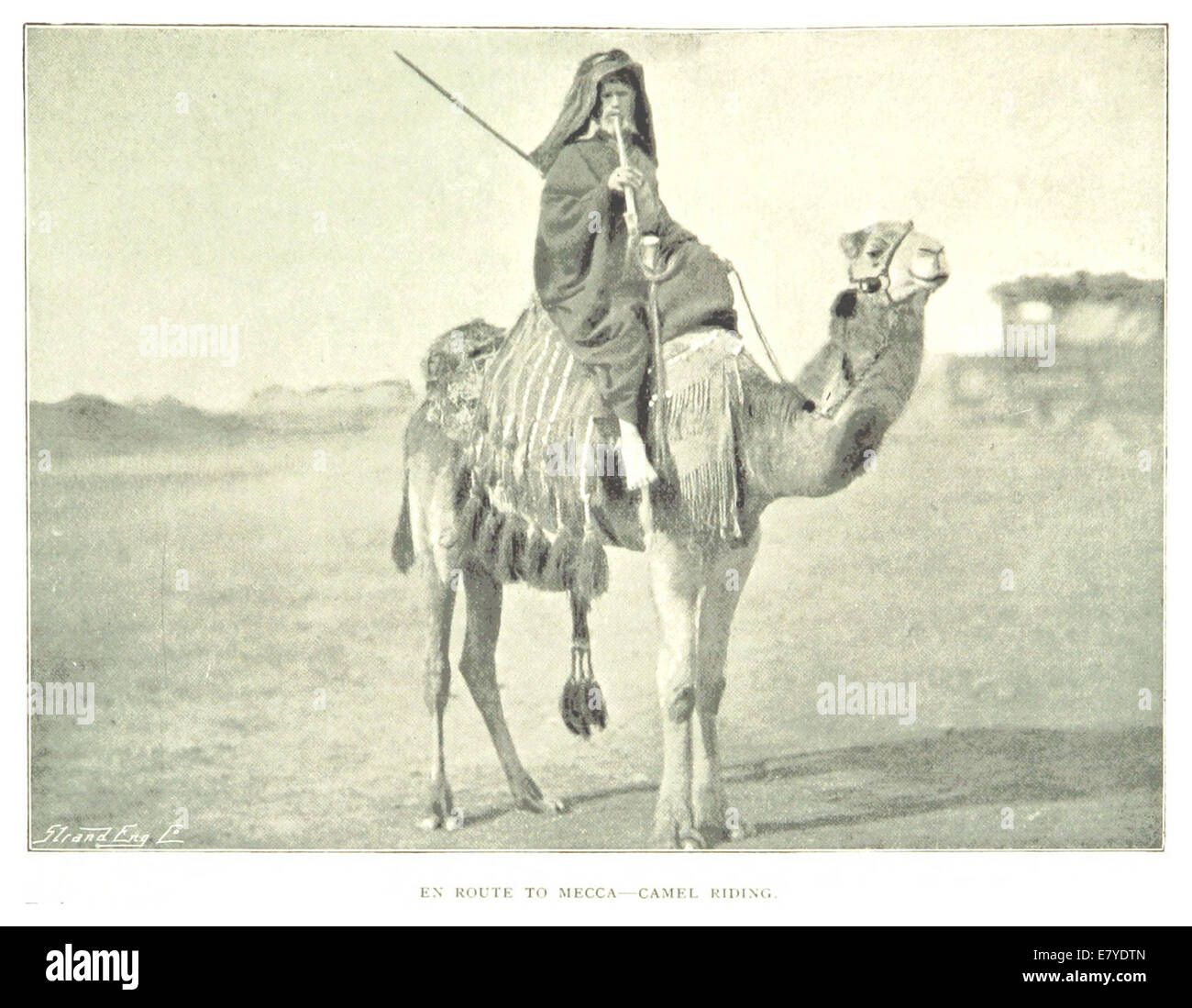 An 1895 illustration by Spry depicting camel riding on the journey to ...