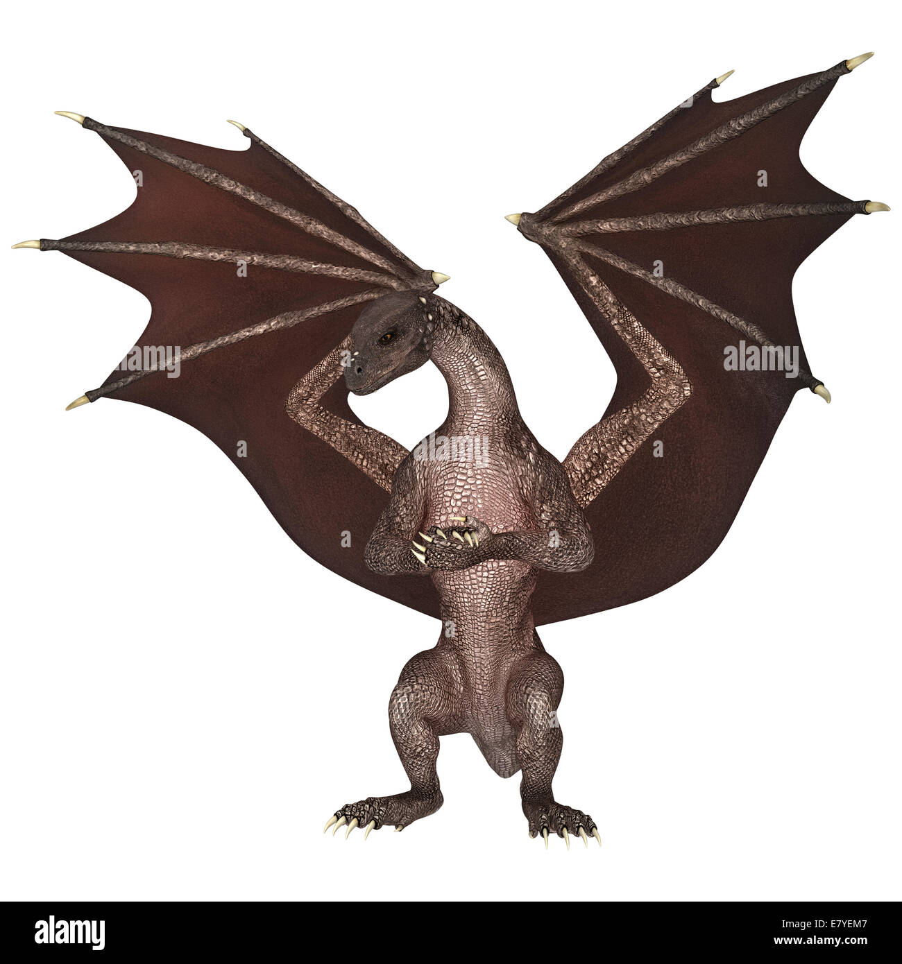 3D digital render of a sitting and watching fantasy dragon isolated on ...