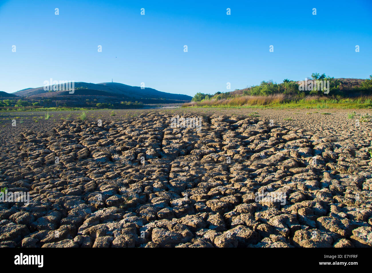 Dry Parched earth from California drought Stock Photo - Alamy