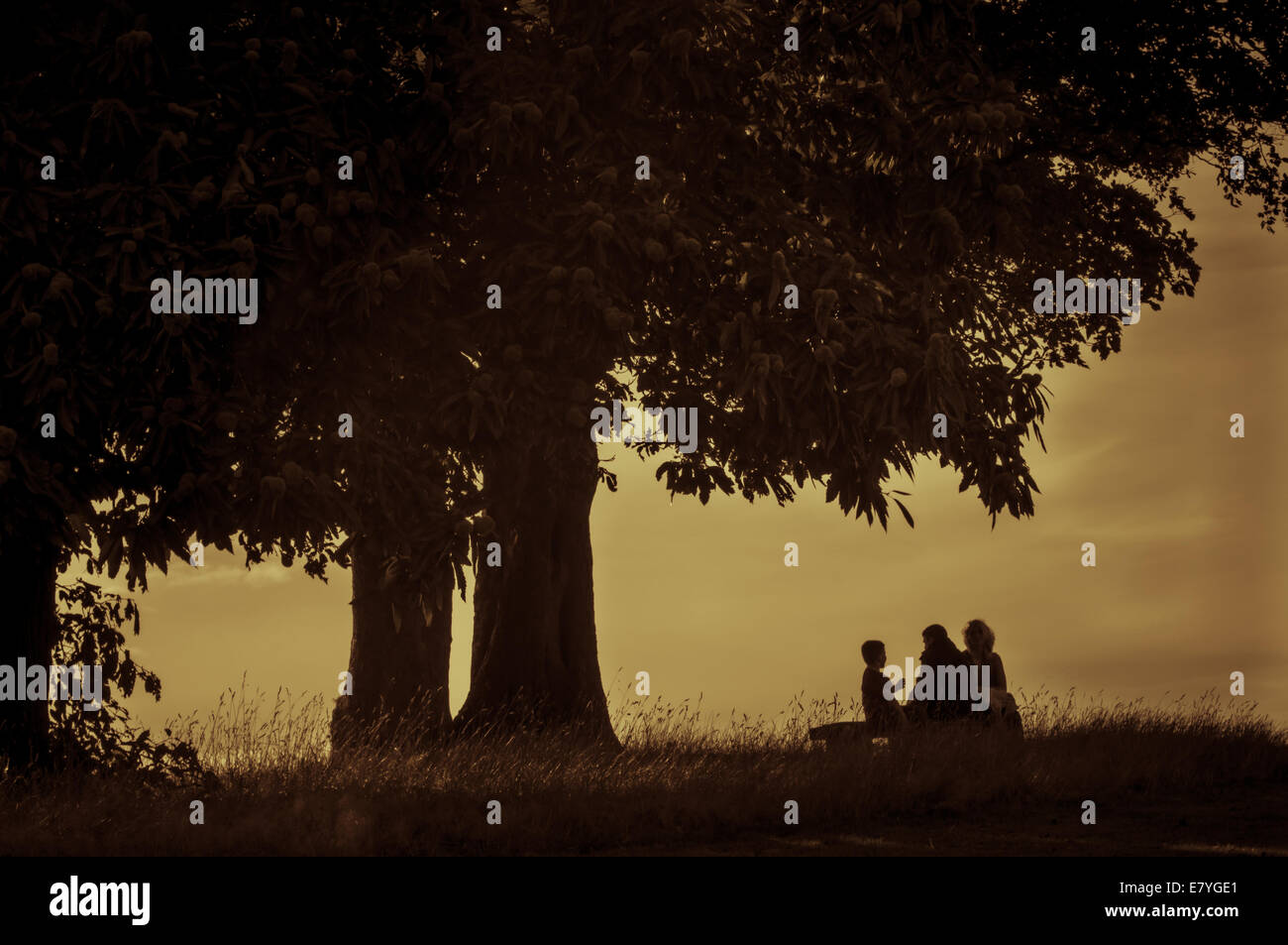 Group people sitting under tree hi-res stock photography and images - Alamy