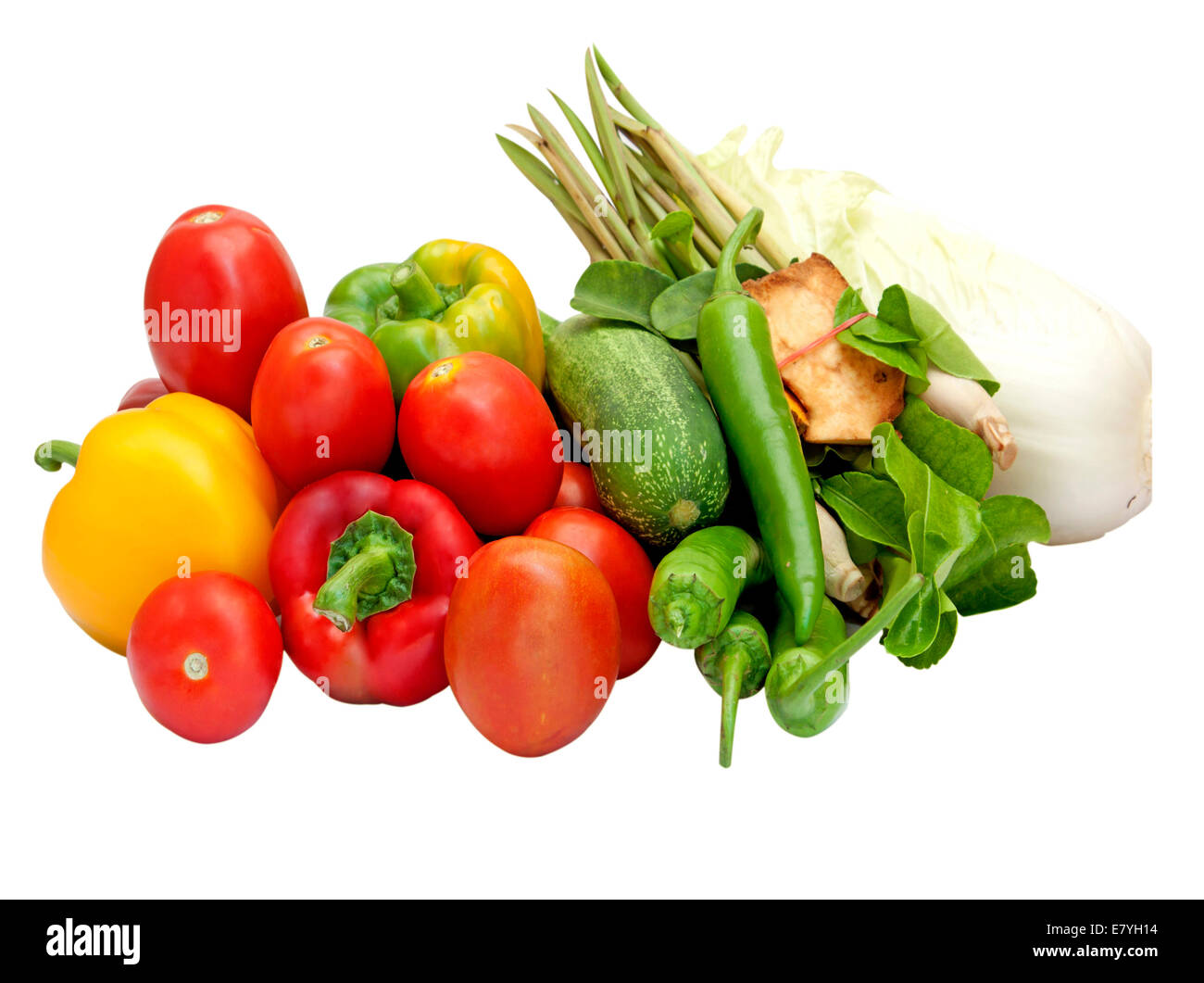 tomato plants vegetable Vegetarian chili, galangal, lemongrass Stock ...