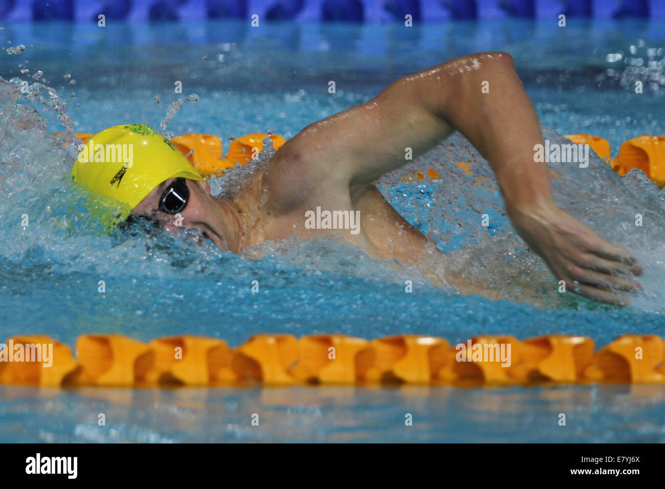 Daniel fox hi-res stock photography and images - Alamy