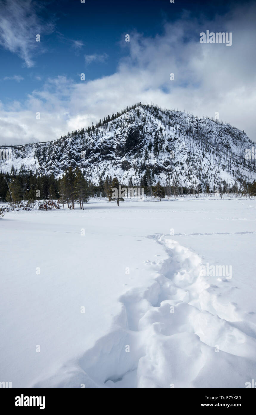 Yellowstone wilderness scene hi-res stock photography and images - Alamy