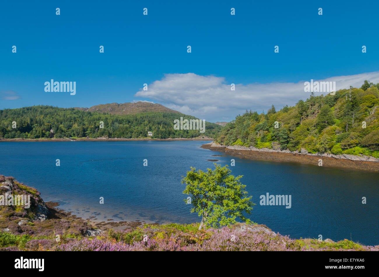 Loch moidart scotland hi-res stock photography and images - Alamy
