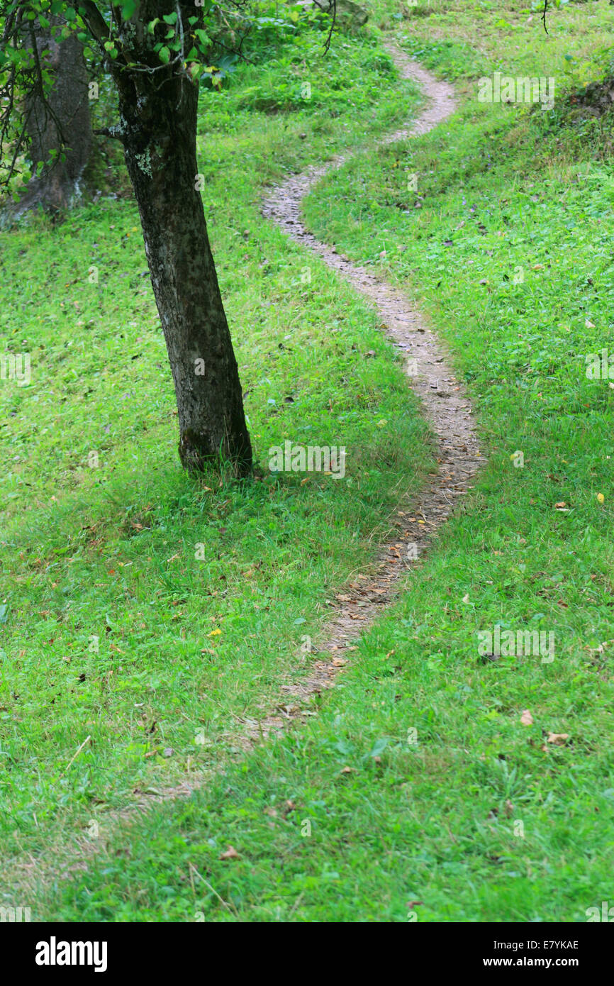 Natural pathway hi-res stock photography and images - Alamy