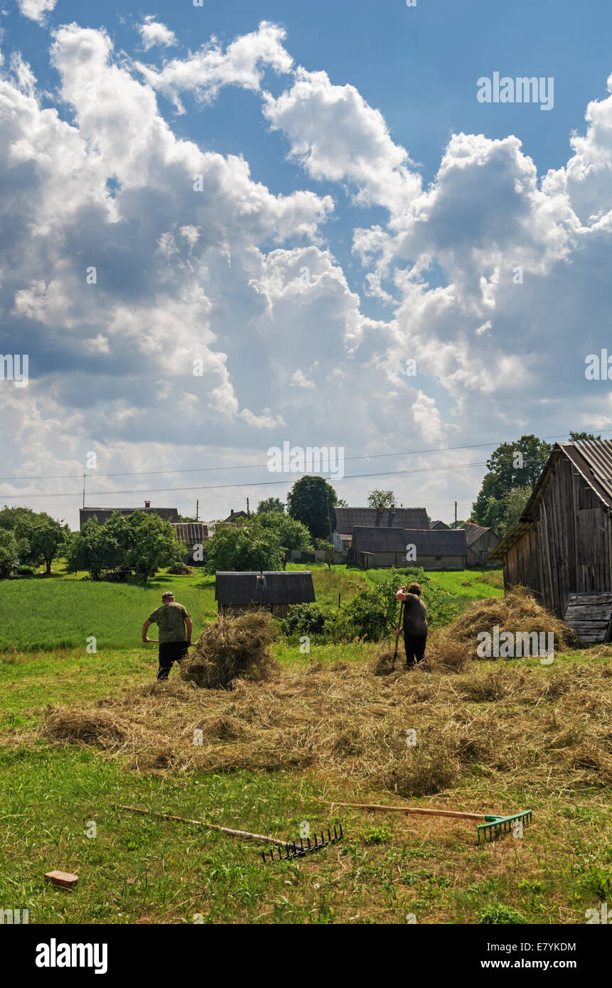 Village yard sunday. Hay drying in the house yard Stock Photo - Alamy