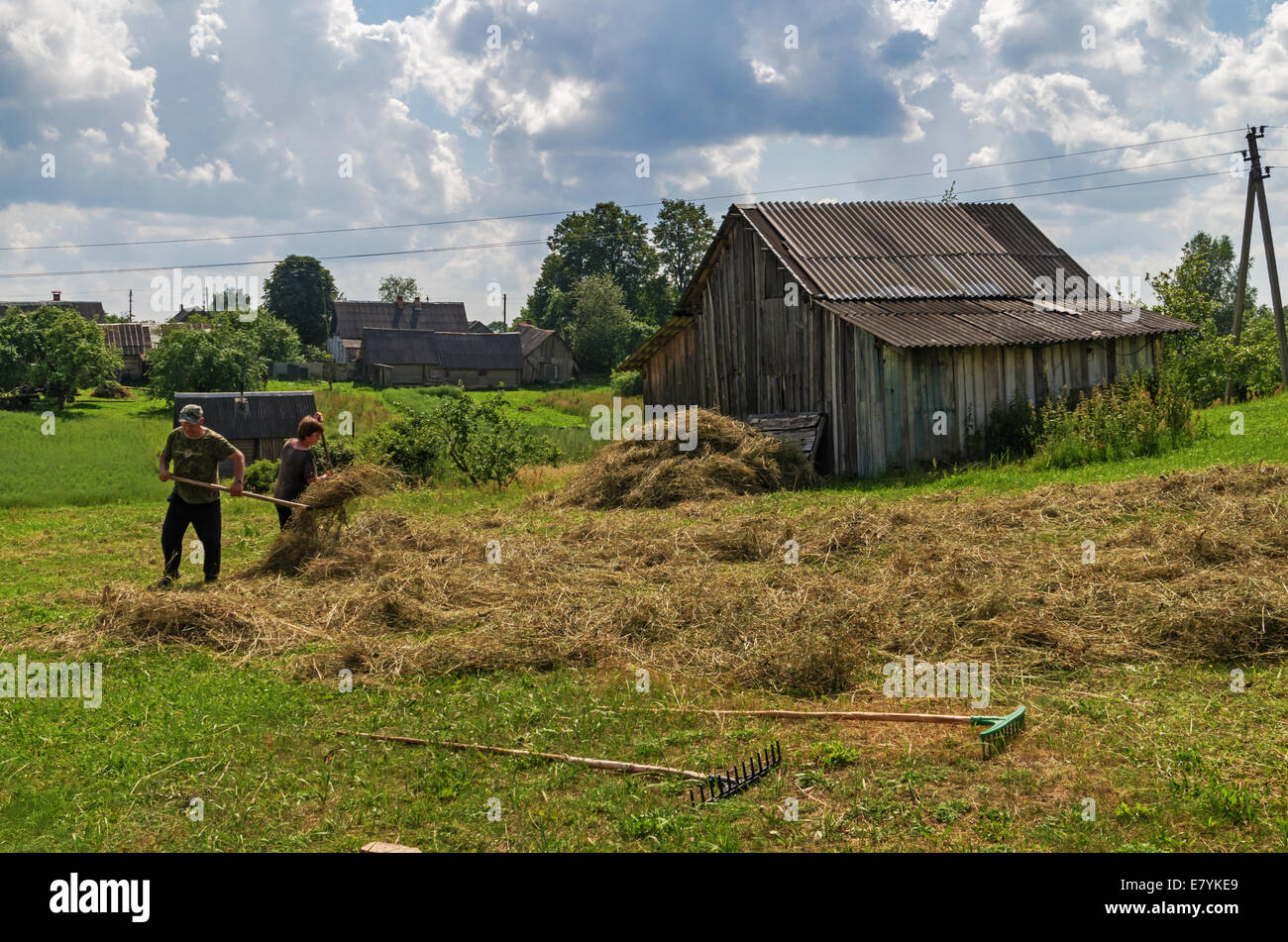 Drying oven apple hi-res stock photography and images - Alamy