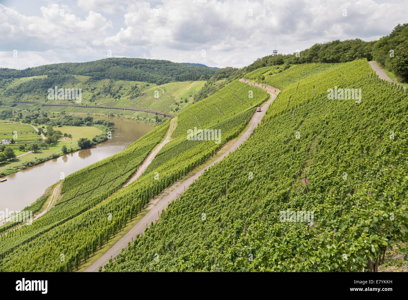 Vineyards along famous wine hi-res stock photography and images - Alamy