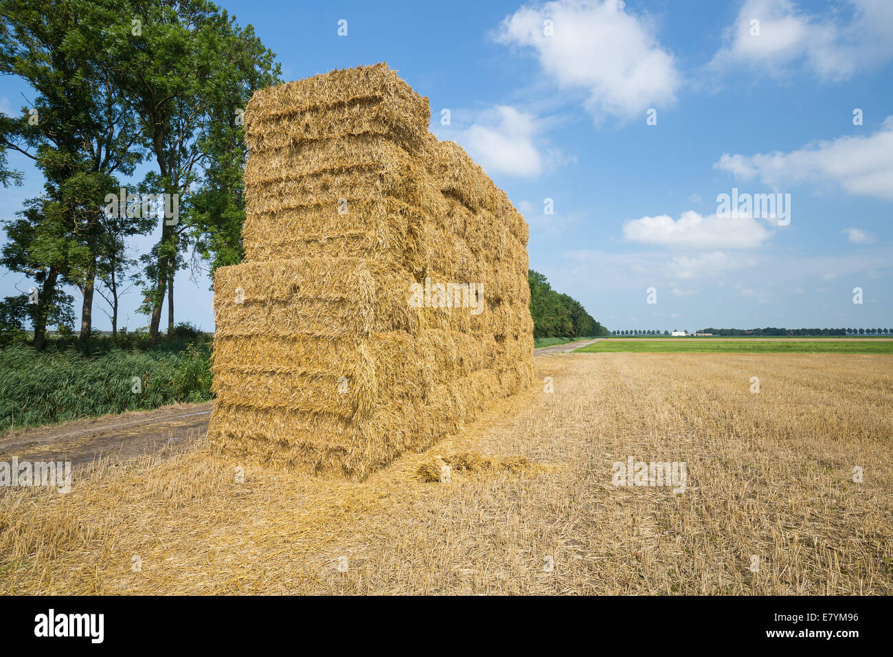 Dutch farmland with a haystack at a harvested wheat field Stock Photo ...