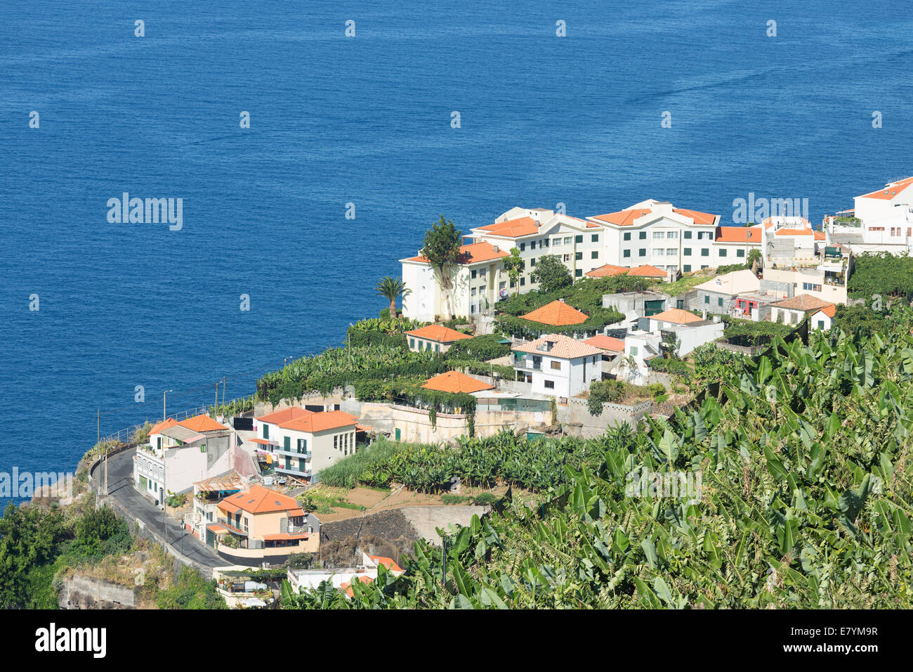 Aerial view of houses along coastline Madeira Island, Portugal Stock ...
