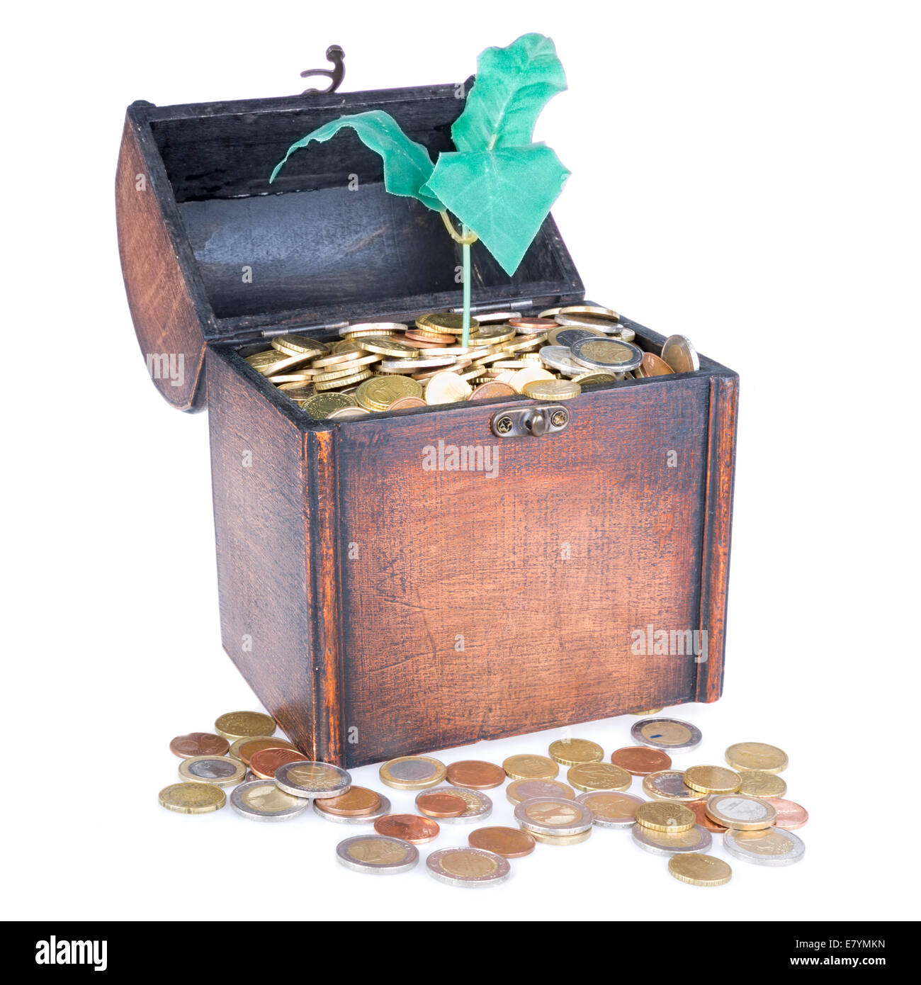 Wooden money chest filled with coins and a money tree, isolated at a ...