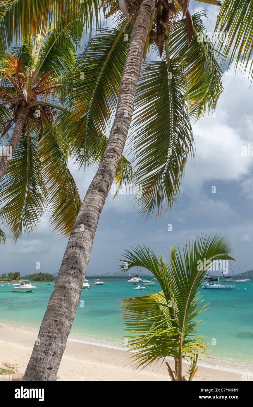 White background u s virgin islands hi-res stock photography and images ...