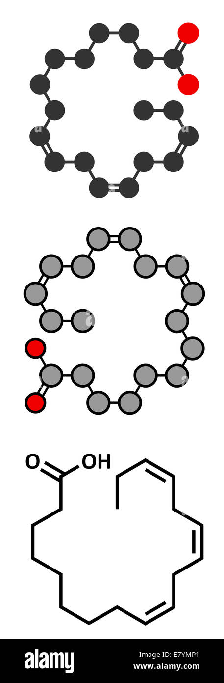 Alpha-linolenic acid (ALA) molecule. Essential polyunsaturated omega-3 ...