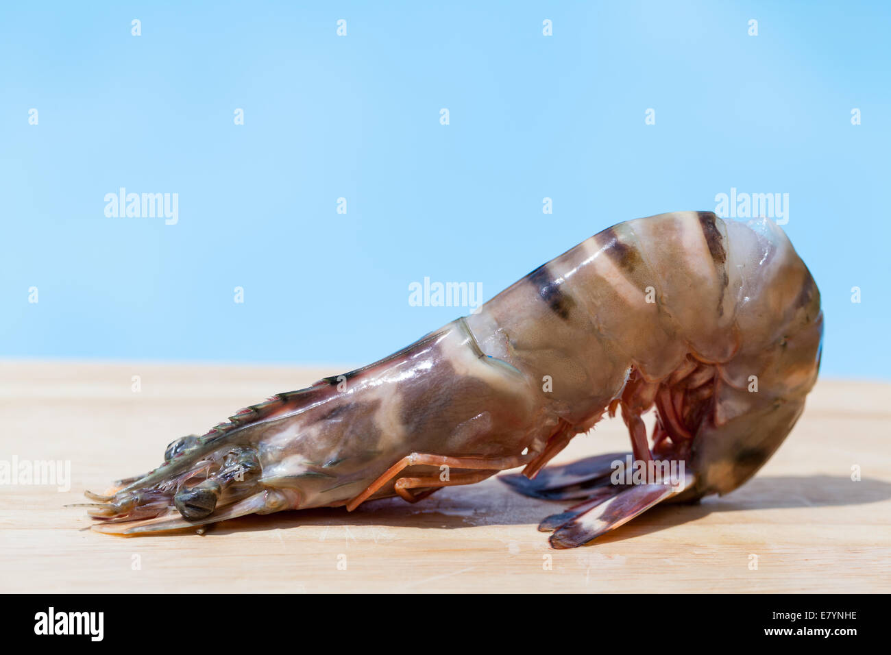 Four fresh whole tiger prawns laid out neatly on a wooden board to be ...