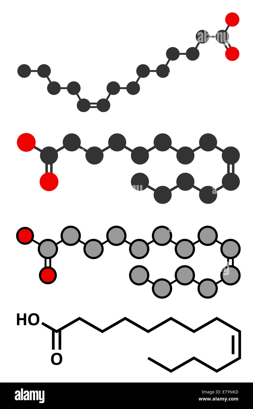 Myristoleic acid (omega-5) fatty acid molecule. Conventional skeletal ...