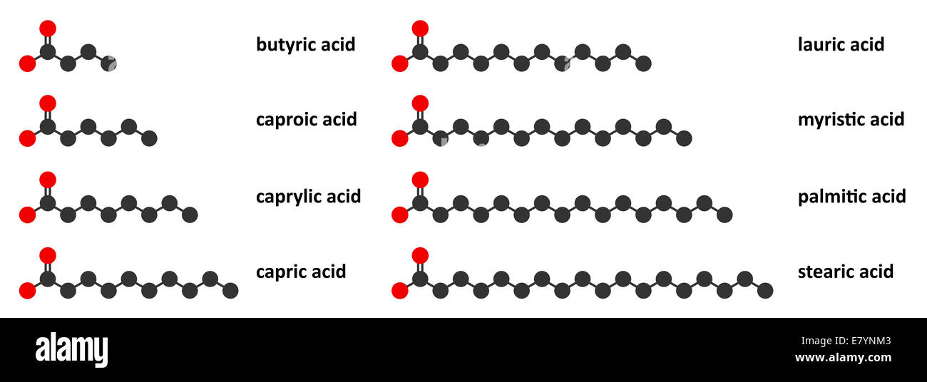 Capric Acid Structure